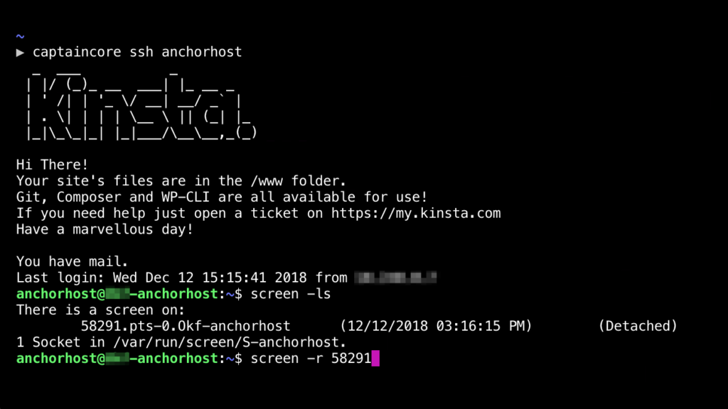 Long Running Scripts Over SSH with Kinsta Long Running Scripts Over SSH with Kinsta