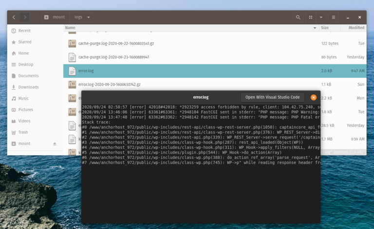 Rclone Mount as a SFTP Client