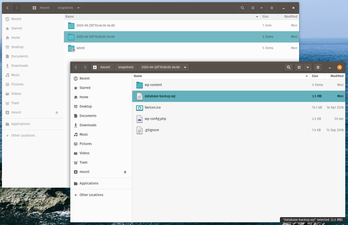 WordPress Backups with Rclone and Restic